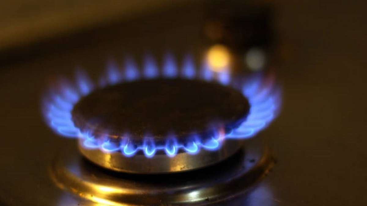 7 Best Natural Gas Distribution Company Stocks in India - Goodreturns