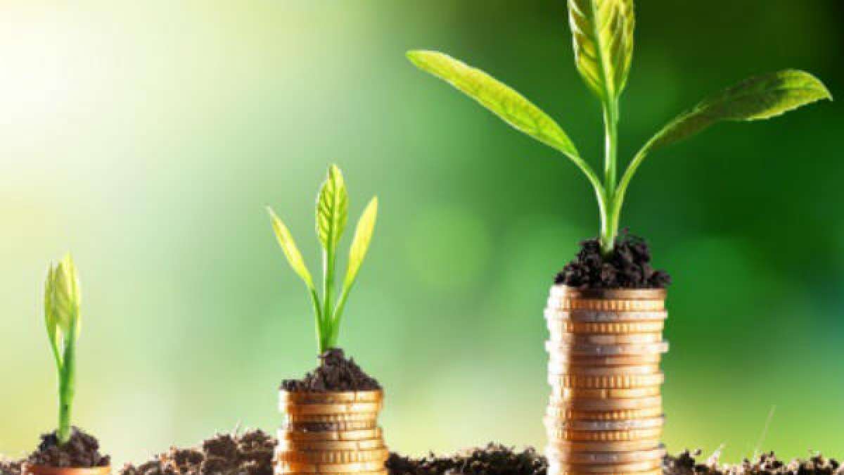 SBI vs ICICI vs HDFC vs Axis vs IDFC First Bank: Latest FD Rates ...