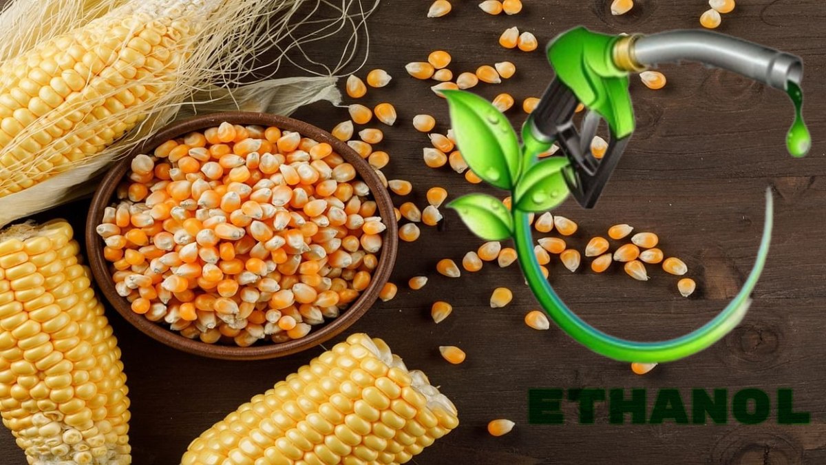 Sakuma Exports Ventures Into Maize Procurement & Ethanol Production ...