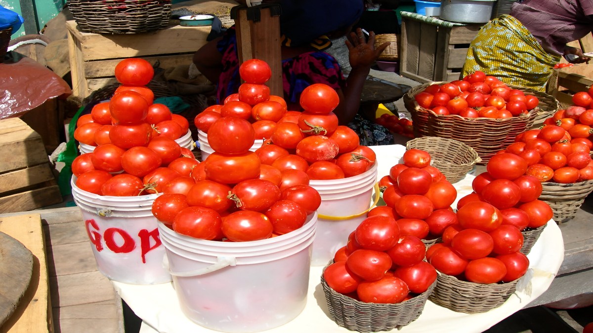 Tomato Prices Skyrocket Beyond Rs 100/Kg In Several Cities Along With ...
